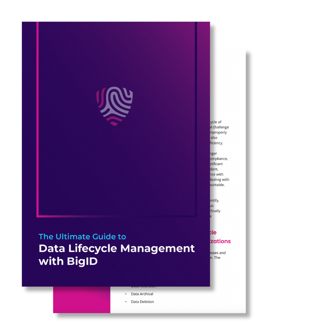 The Ultimate Guide to Data Lifecycle Management with BigID